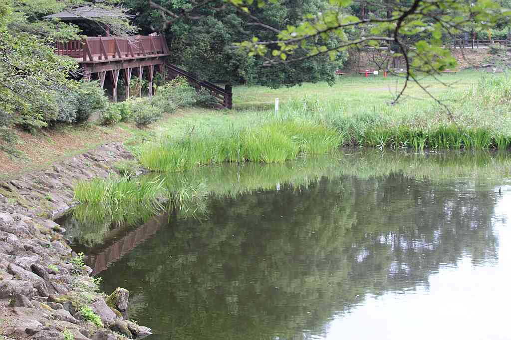 今日の厚木基地: 飛行機大好き